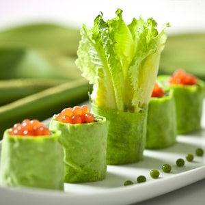 Catering Services, DC, Virginia, Maryland | Windows Catering