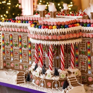 Catering Services, DC, Virginia, Maryland | Windows Catering