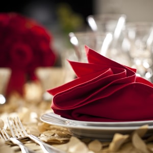 Catering Services, DC, Virginia, Maryland | Windows Catering